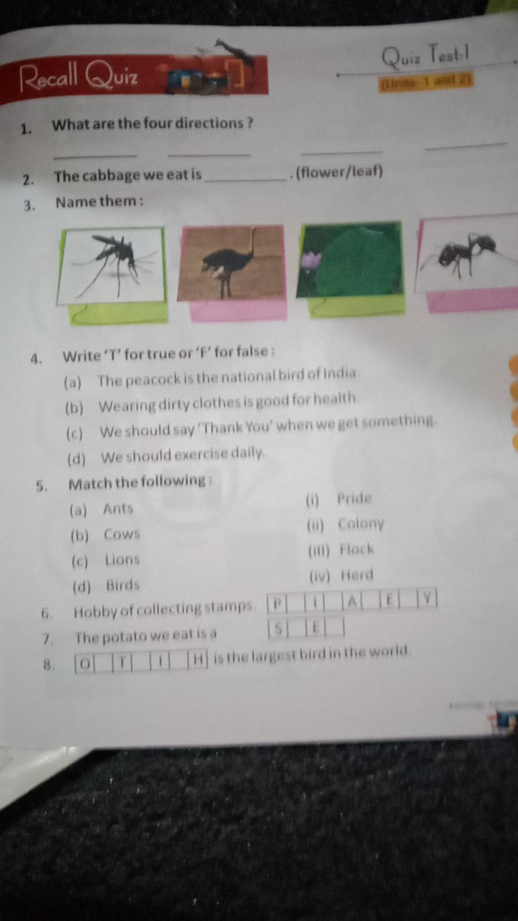 Match the following: | Filo