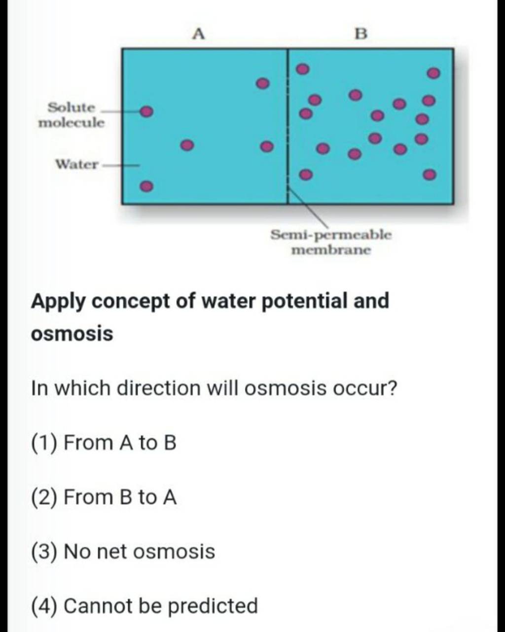 Apply concept of water potential and osmosis In which direction will osmo..