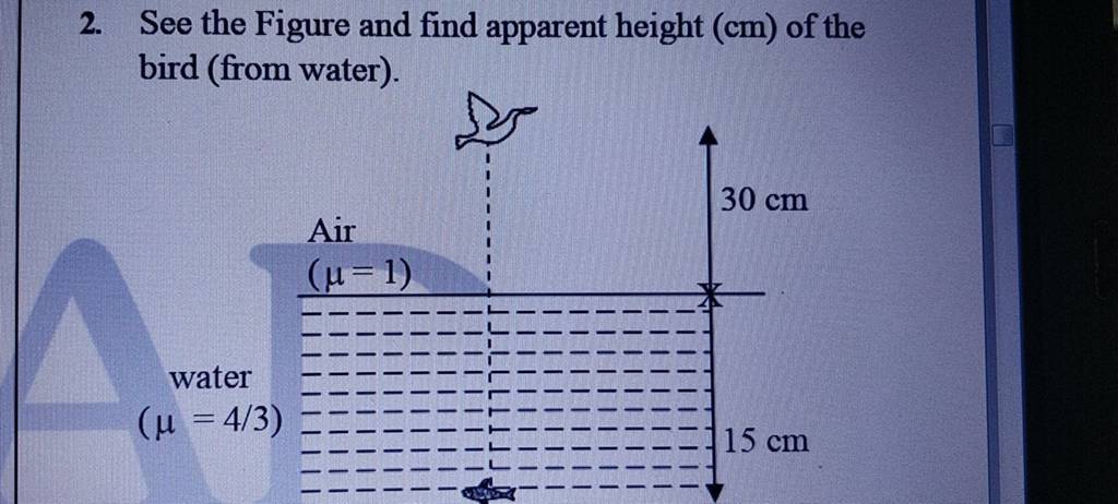 2. See the Figure and find apparent height (mathrmcm) of the bird (from w..