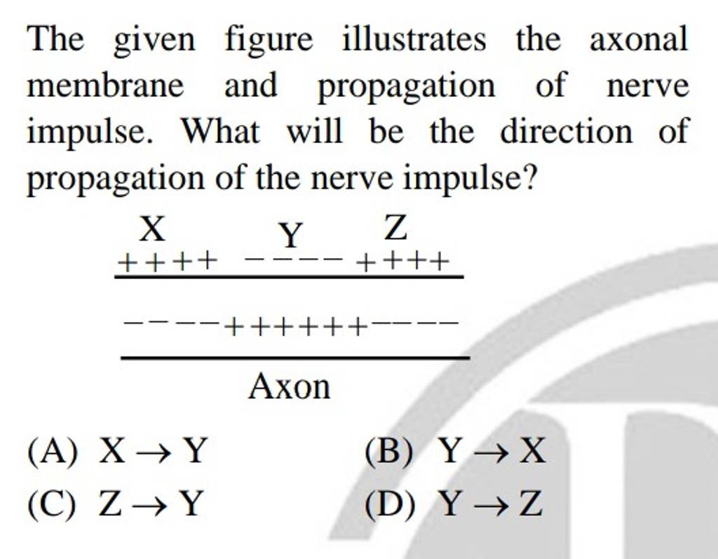 The given figure illustrates the axonal membrane and propagation of nerve..