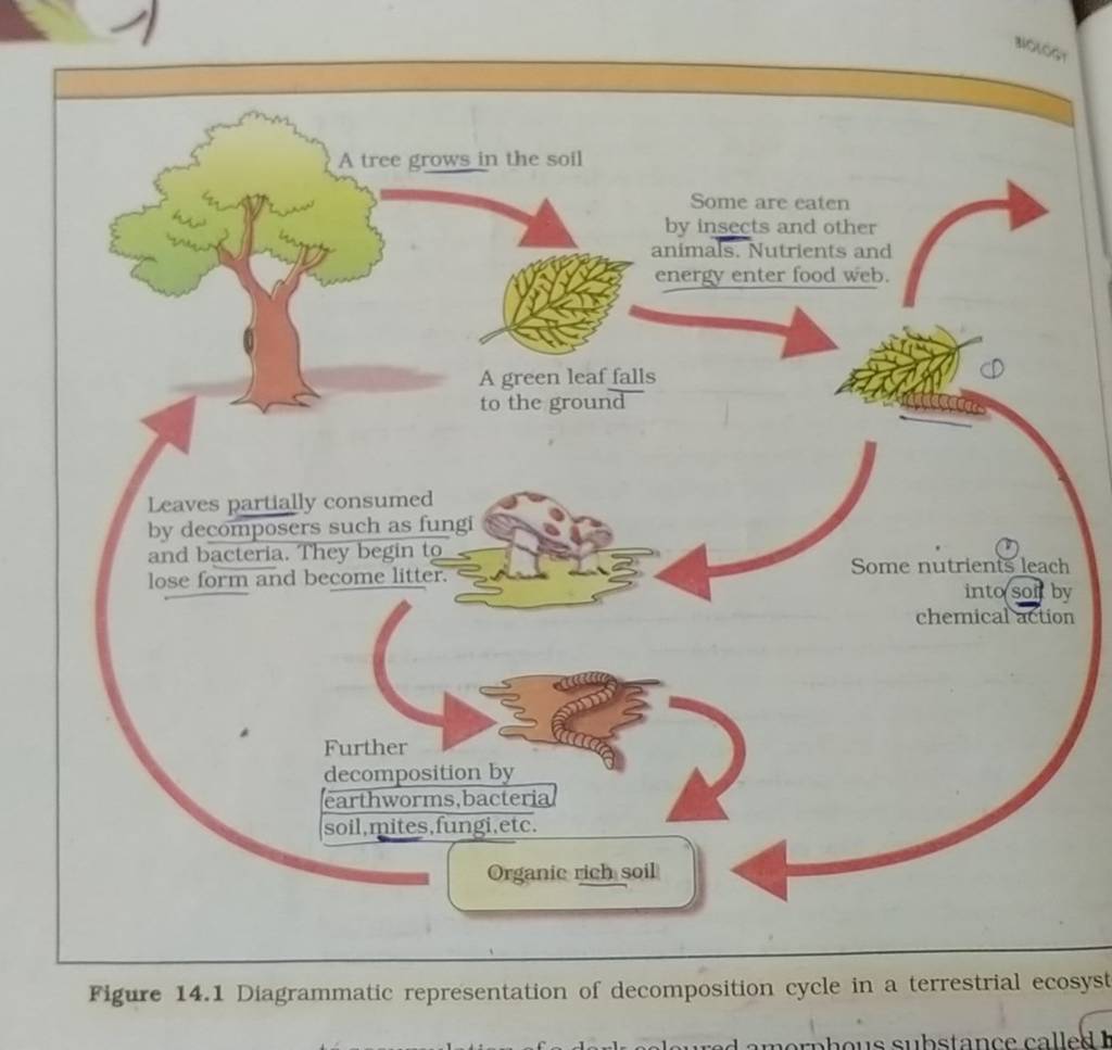 Figure 14.1 Diagrammatic representation of decomposition cycle in a terre..