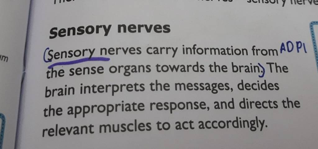 sensory nerves (Sensory nerves carry information from ADPI the sense orga..