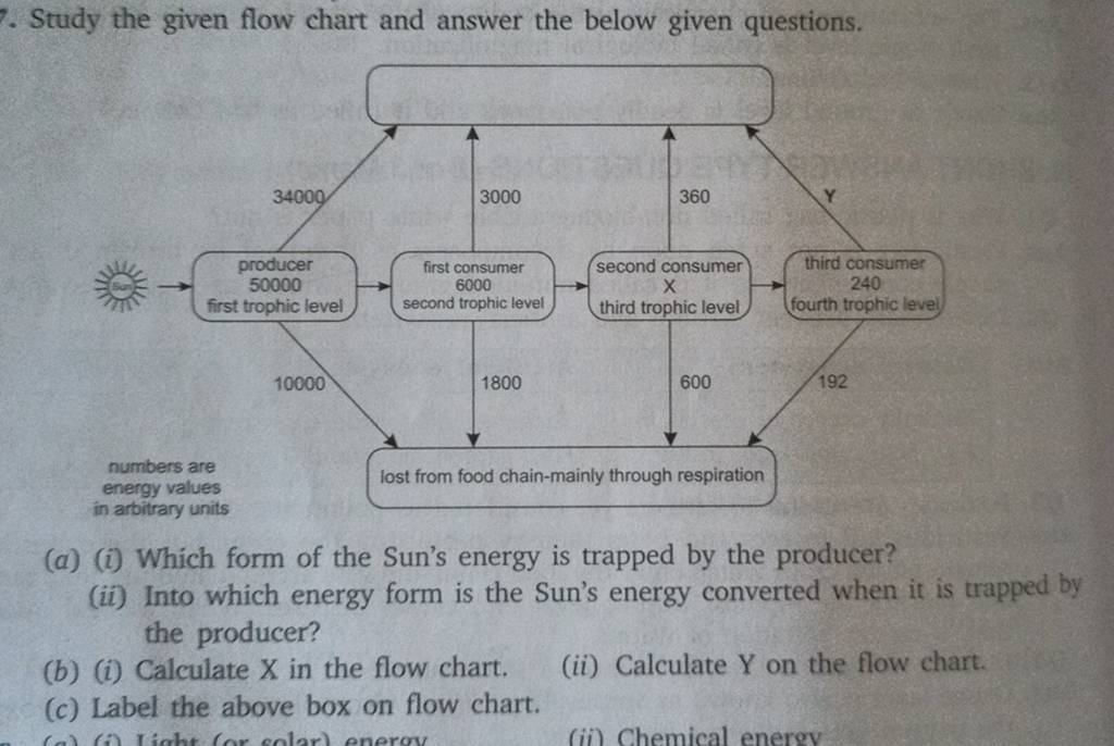 - Study the given flow chart and answer the below given questions. (a) (i..