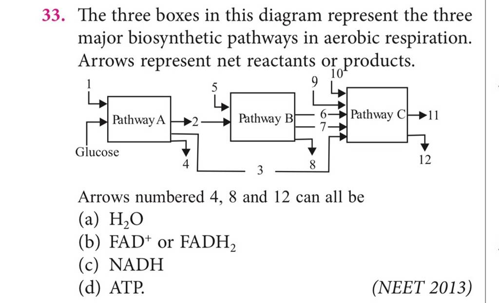 The three boxes in this diagram represent the three major biosynthetic pa..