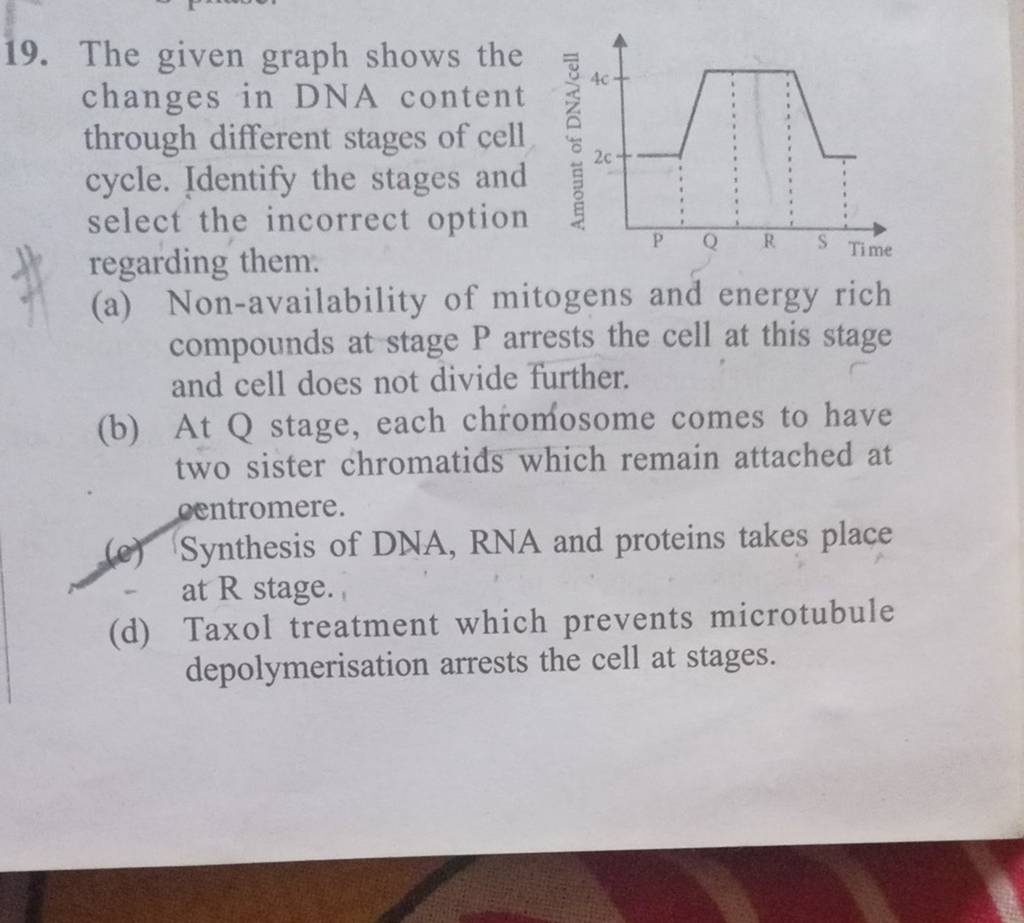 The given graph shows the In DNA content cycle. Identify the stages and s.. The given graph shows the In DNA content cycle. Identify the stages and s..