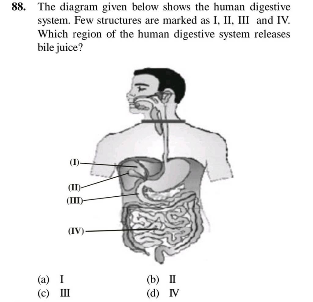 The diagram given below shows the human digestive system. Few structures