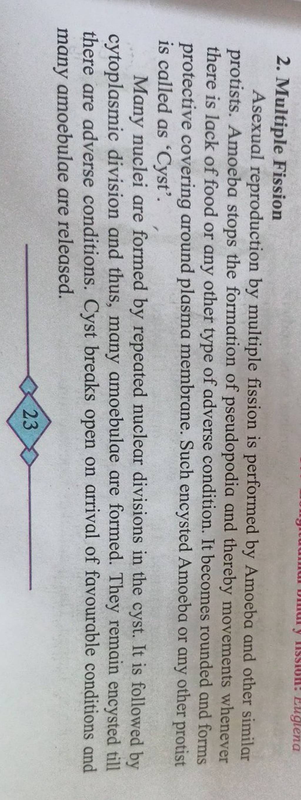 Multiple Fission Asexual Reproduction