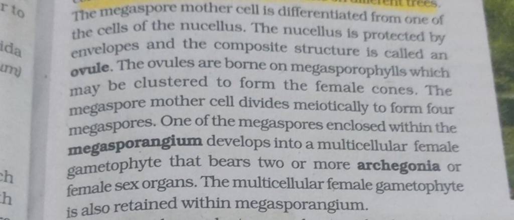 The megaspore mother cell is differentiated from one of the cells of the