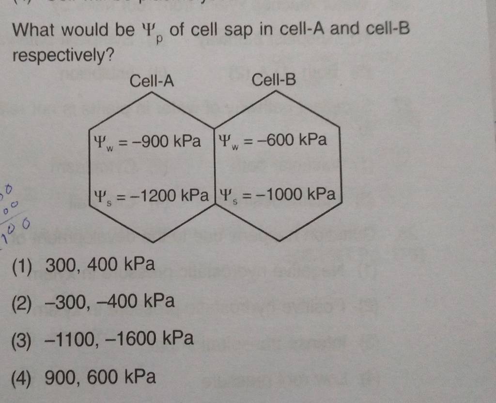 What would be Ψp of cell sap in cell-A and cell-B respectively? | Filo