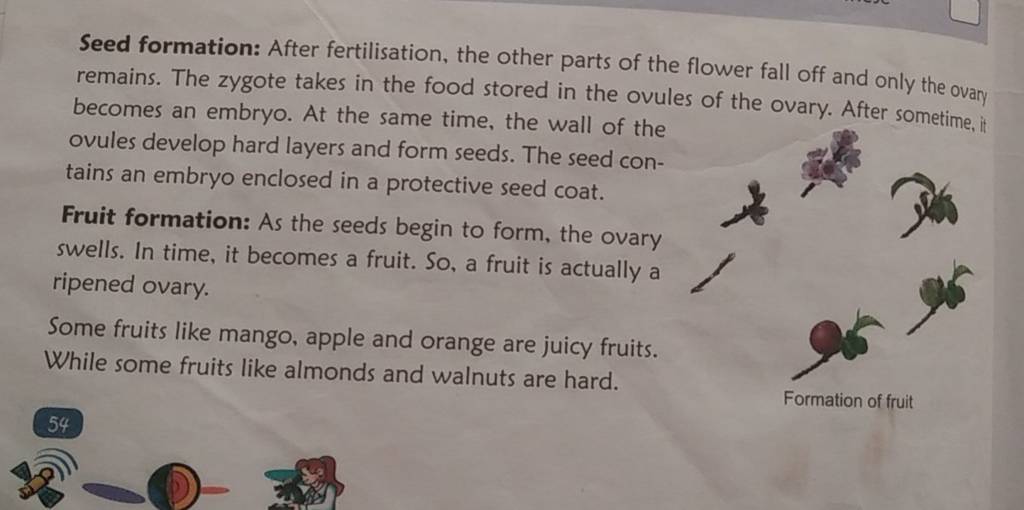 Seed formation: After fertilisation, the other parts of the flower fall o..