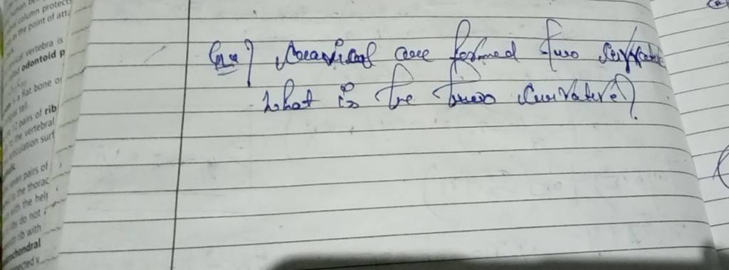 Que? coeavicenf are formed - wo seyffere - What is tre two curvatere?