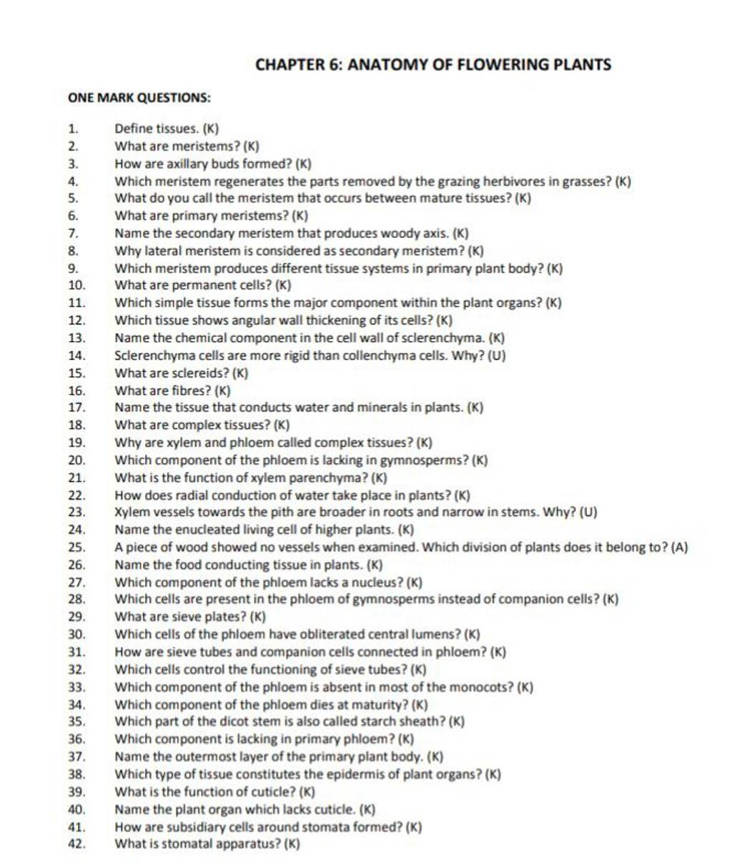 CHAPTER 6: ANATOMY OF FLOWERING PLANTS ONE MARK QUESTIONS: | Filo