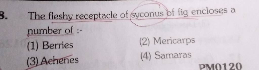 The fleshy receptacle of syconus of fig encloses a number of :- | Filo