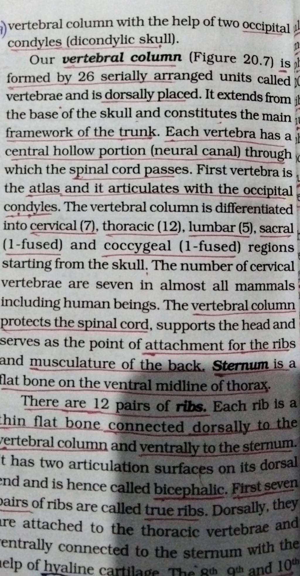 9) vertebral column with the help of two occipital condyles (dicondylic s..