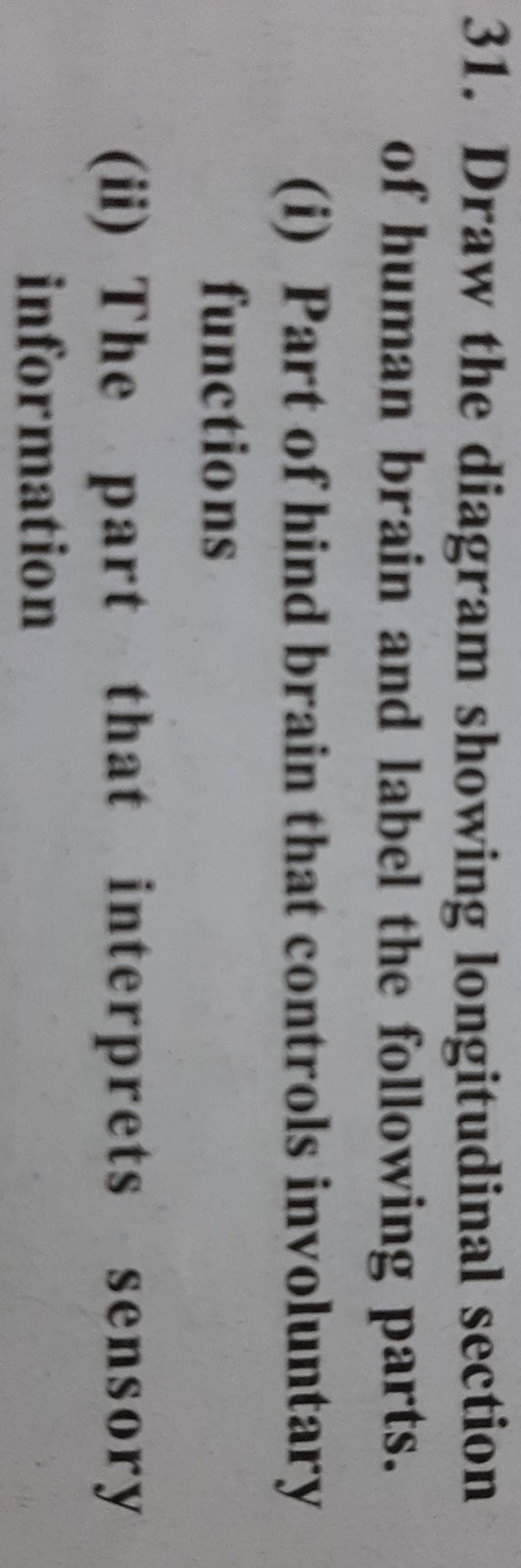 31. Draw the diagram showing longitudinal section of human brain and labe..