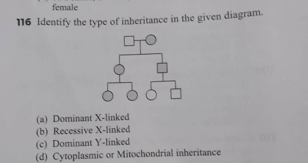 female 116 Identify the type of inheritance in the given diagram. | Filo