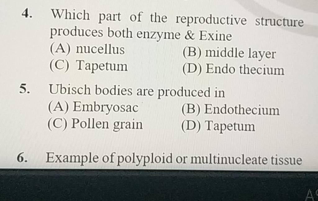 Which part of the reproductive structure produces both enzyme \& Exine..