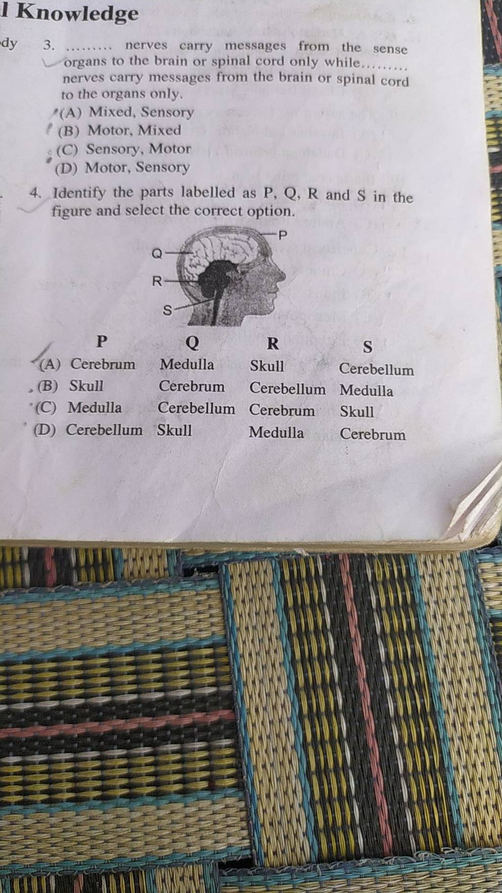 I Knowledge 3. .......... nerves carry messages from the sense organs to