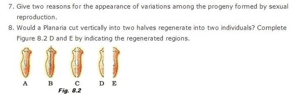 7 Give Two Reasons For The Appearance Of Variations Among The Progeny Fo