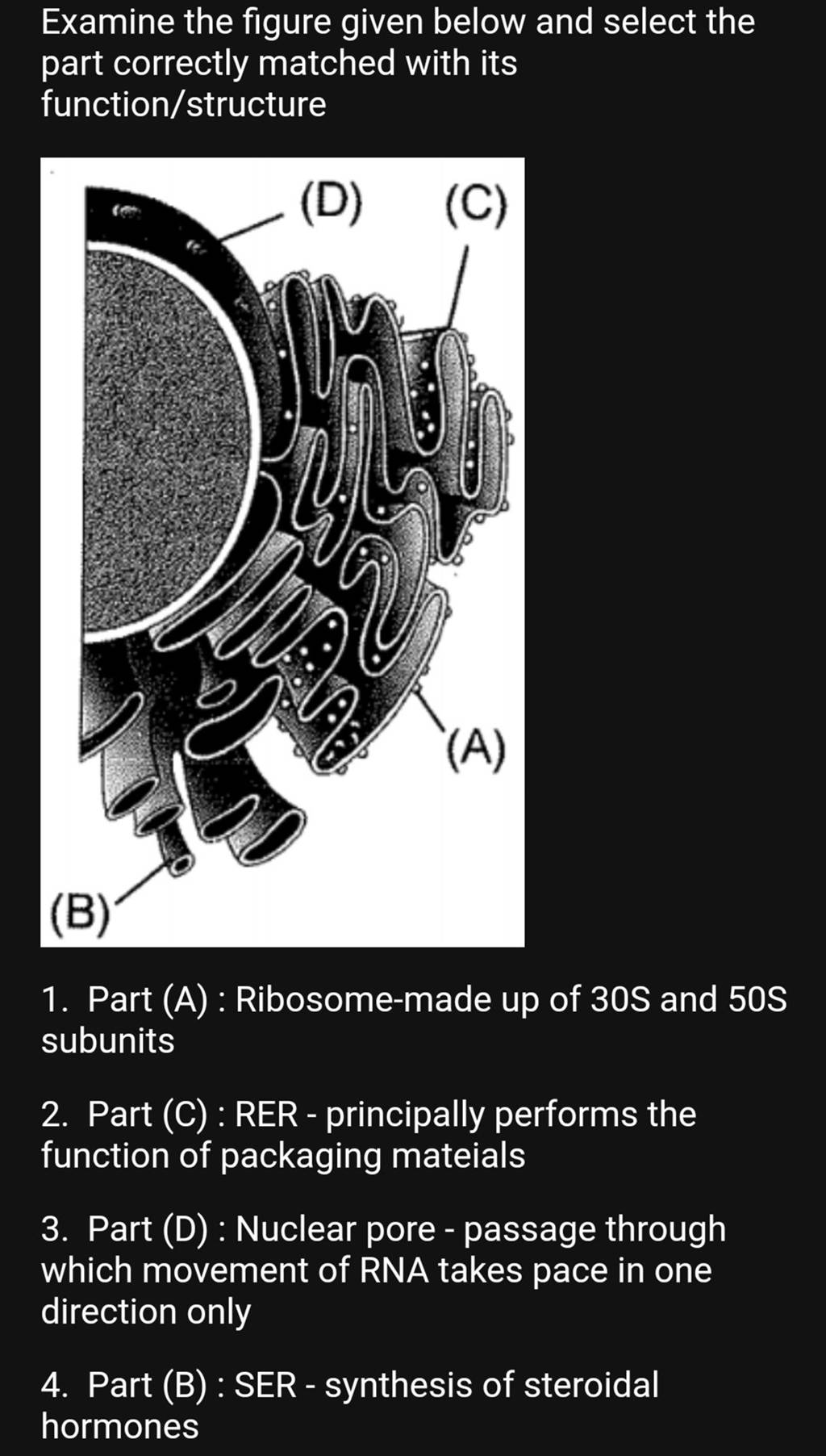 Examine The Figure Given Below And Select The Part Correctly Matched With