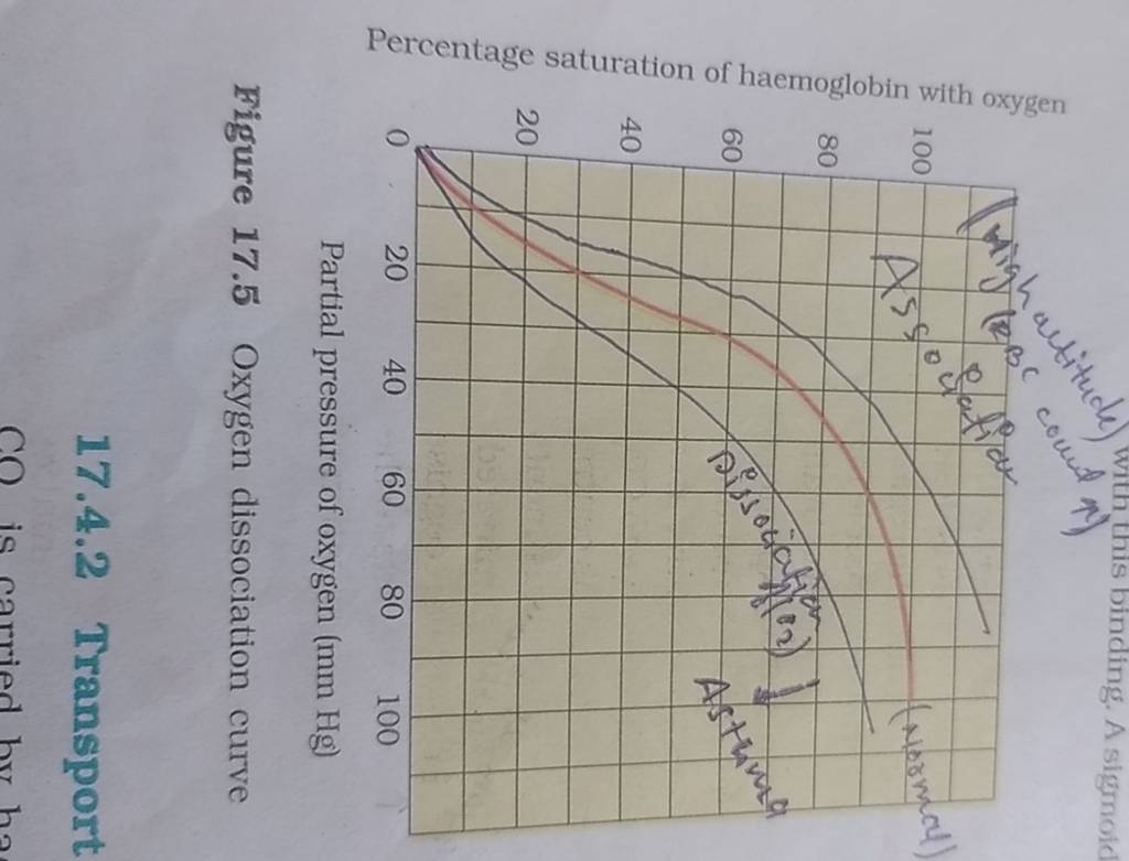 Partial pressure of oxygen ( mmHg ) Figure 17.5 Oxygen dissociation curve..