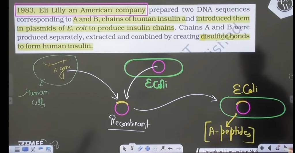 1983, Eli Lilly an American company prepared two DNA sequences correspond..