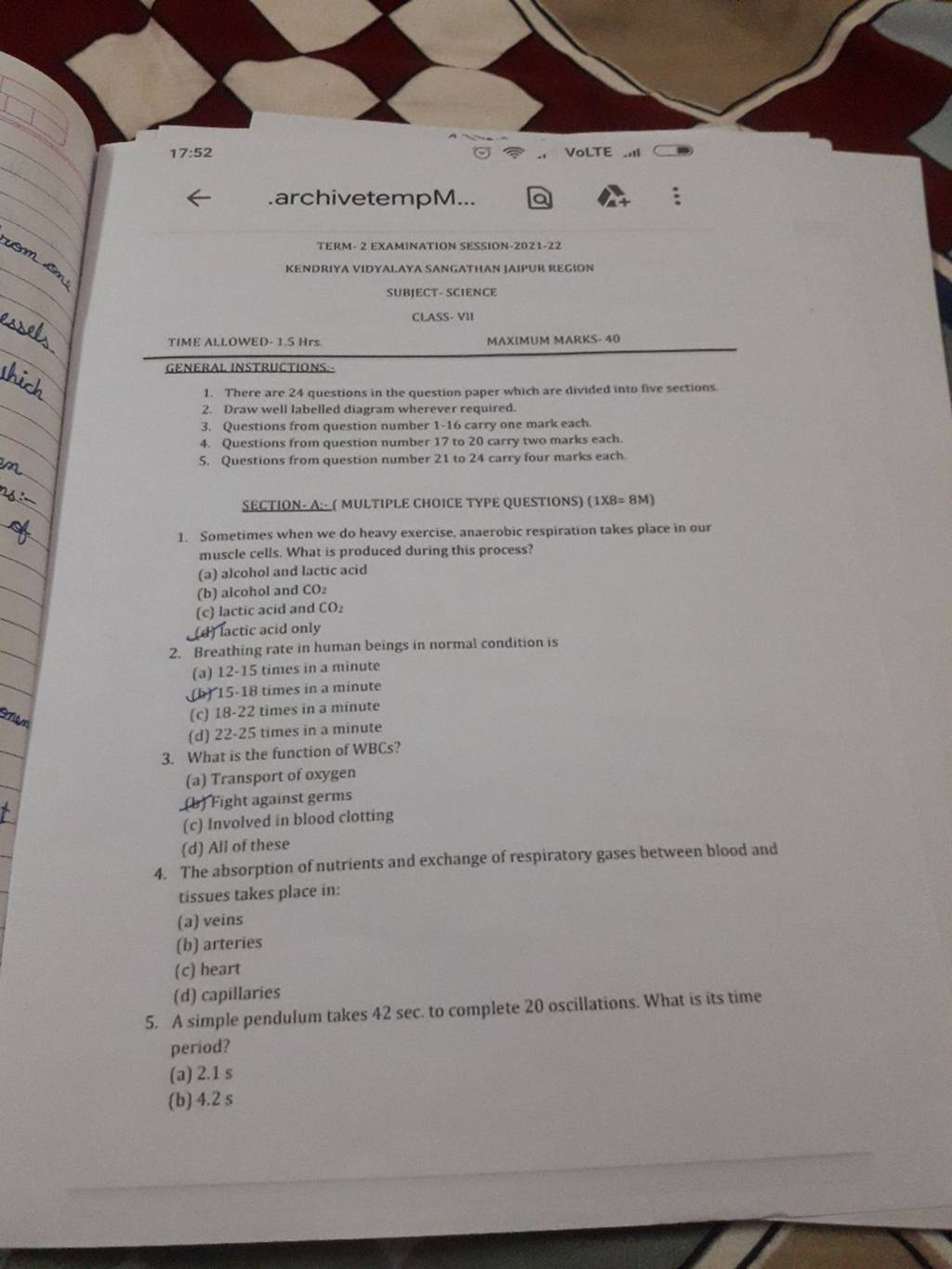 what-is-the-function-of-wbcs-filo