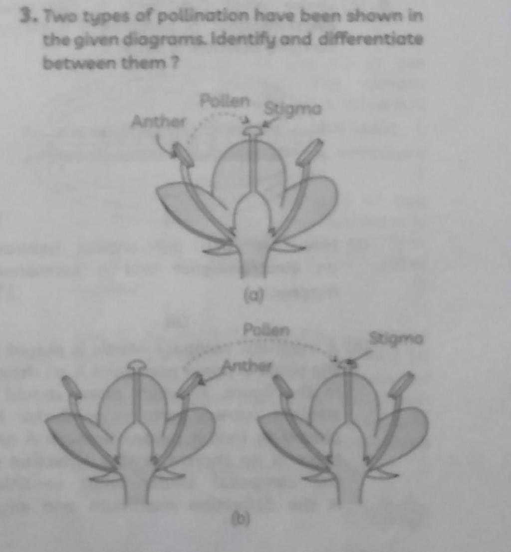 3. Two types of pollination have been shown in the given diagrams. Identi..