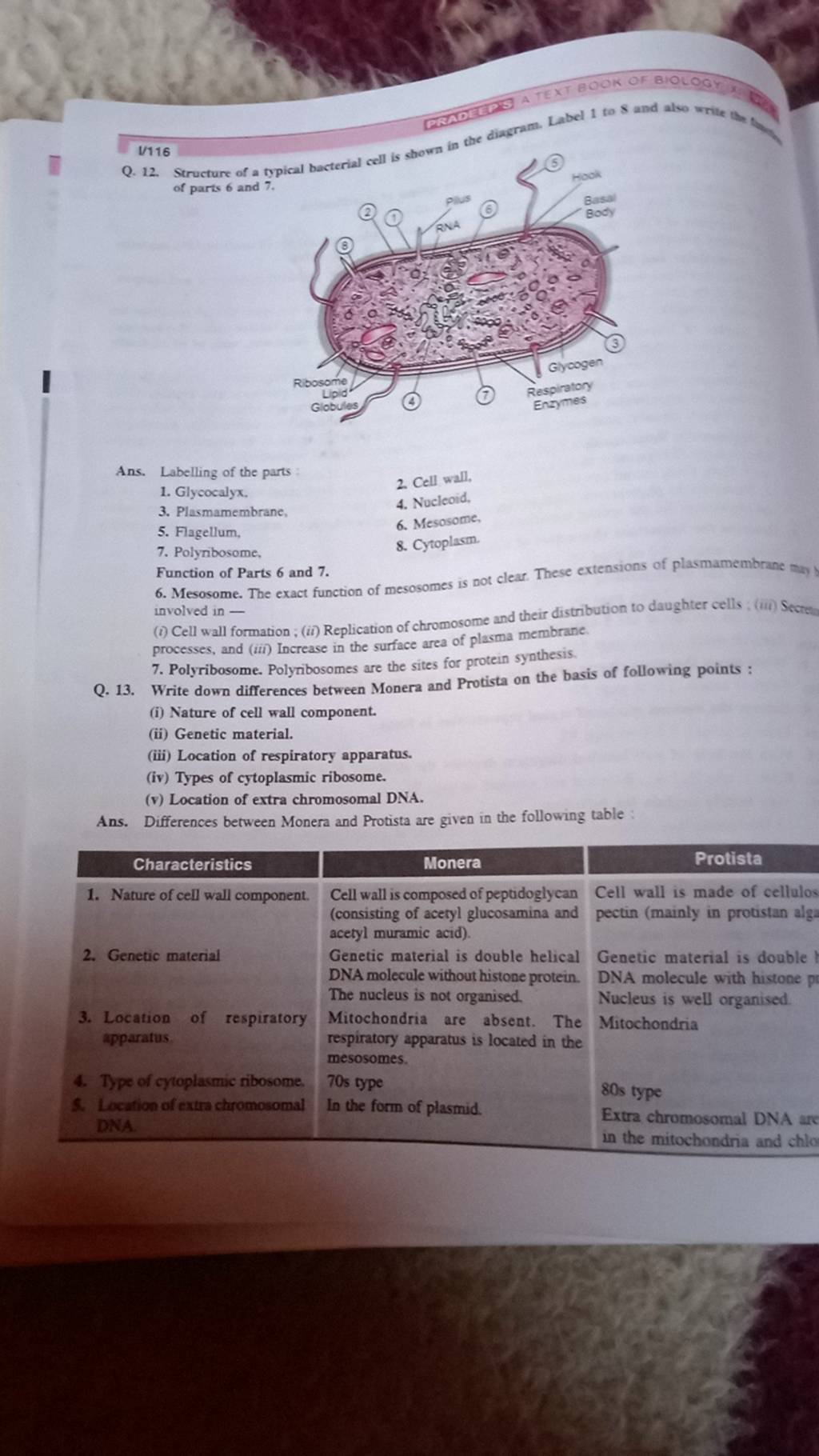 Q.116 Q. 12 Structure of a typical bacterial cell is shown in the diagram..