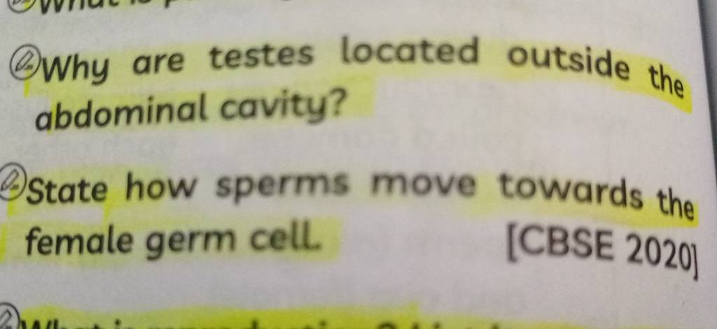 (2)Why are testes located outside the abdominal cavity? (2) State how spe..
