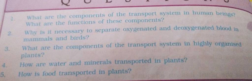 What are the components of the transport system in human beings? What are..