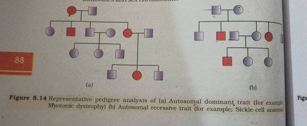 Autosomal Recessive Vs Autosomal Dominant Pedigree Autosomal Recessive Vs Autosomal Dominant Pedigree