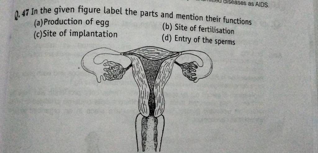 47 In the given figure label the parts and mention their functions | Filo