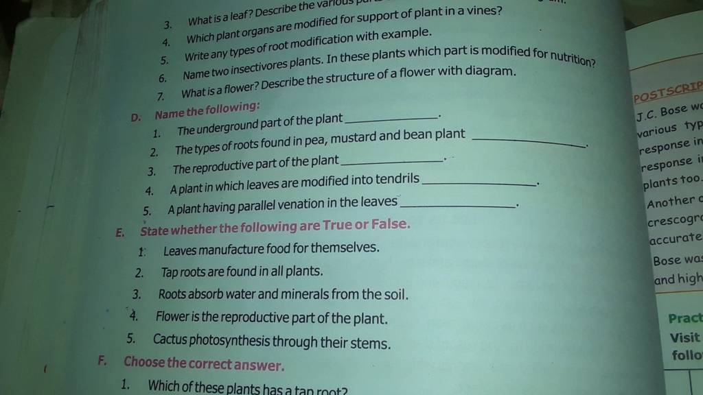 What Is A Flower Describe The Structure Of A Flower With Diagram D Nam what-is-a-flower-describe-the-structure-of-a-flower-with-diagram-d-nam