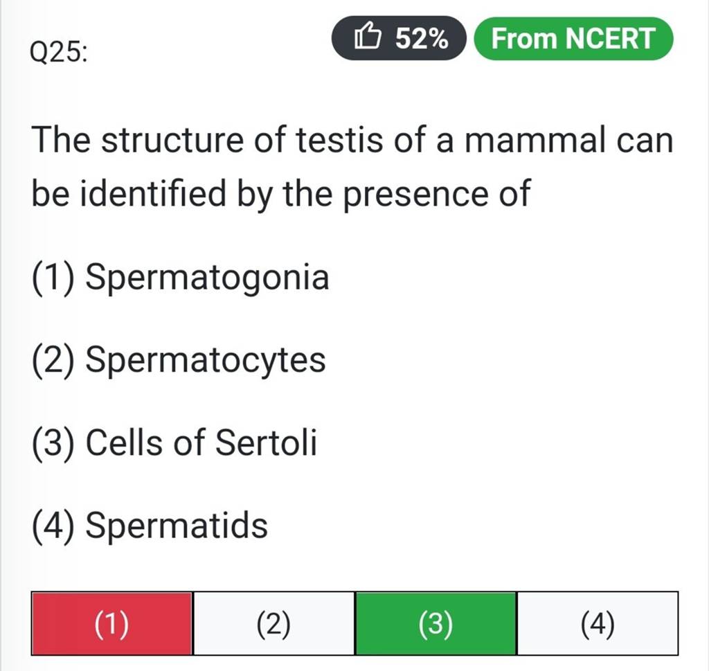 Q25: ๑ 52\% From NCERT The structure of testis of a mammal can be identif..