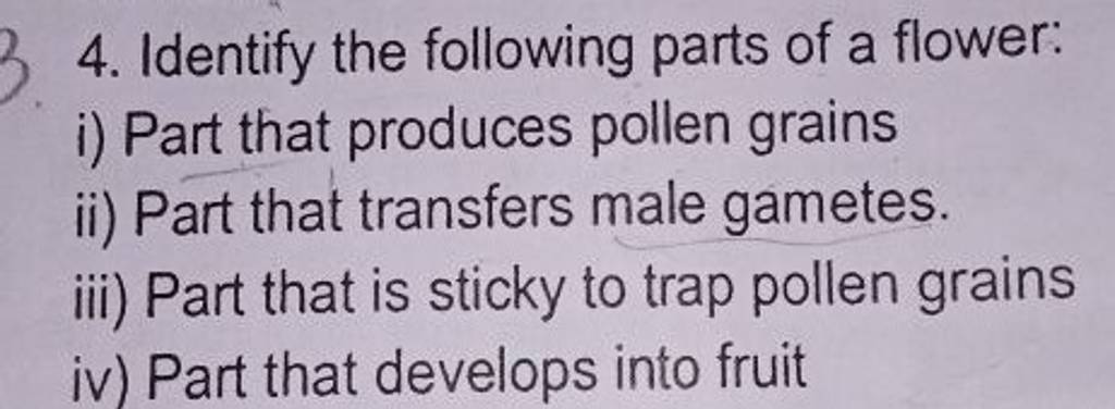 Identify the following parts of a flower: | Filo