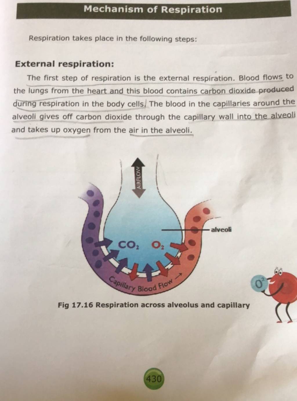 Mechanism of Respiration Respiration takes place in the following steps: