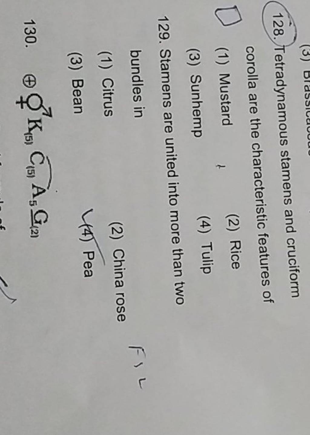 Tetradynamous stamens and cruciform corolla are the characteristic featur..