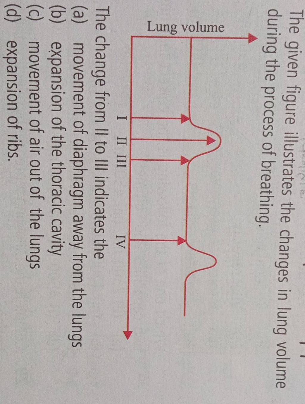 The given figure illustrates the changes in lung volume during the proces..
