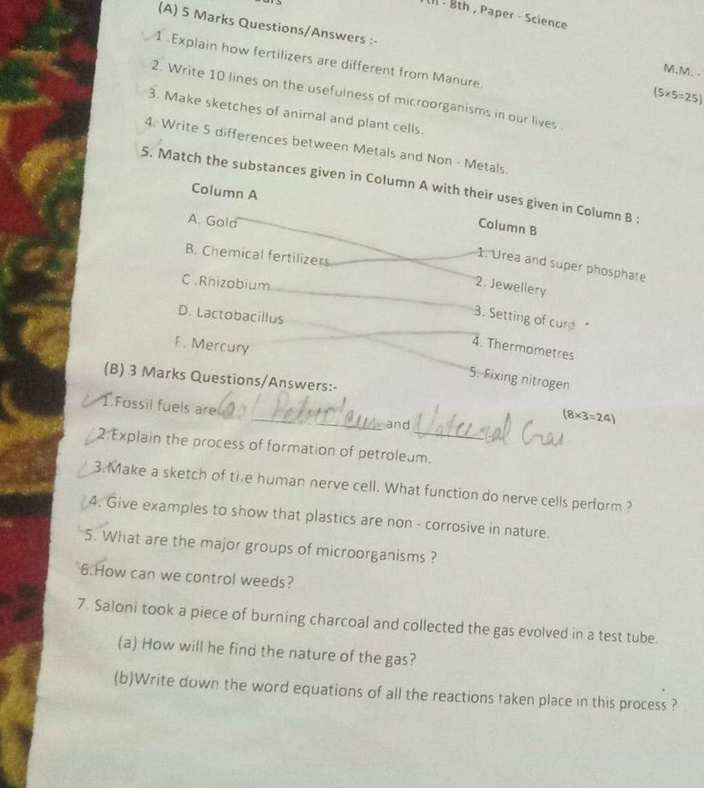 5 Marks Questionsanswers Filo 