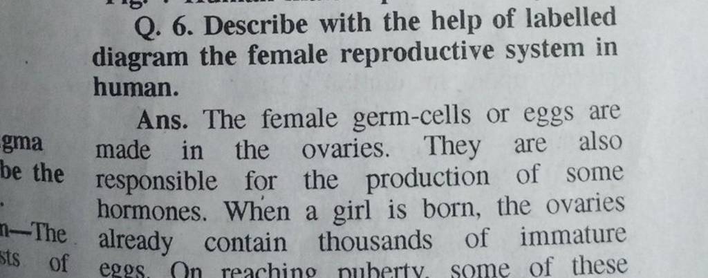 Q. 6. Describe with the help of labelled diagram the female reproductive