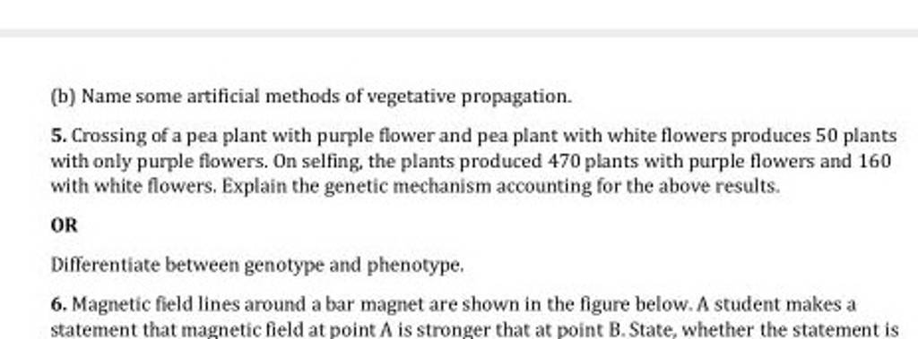 (b) Name some artificial methods of vegetative propagation. | Filo (b) Name some artificial methods of vegetative propagation. | Filo
