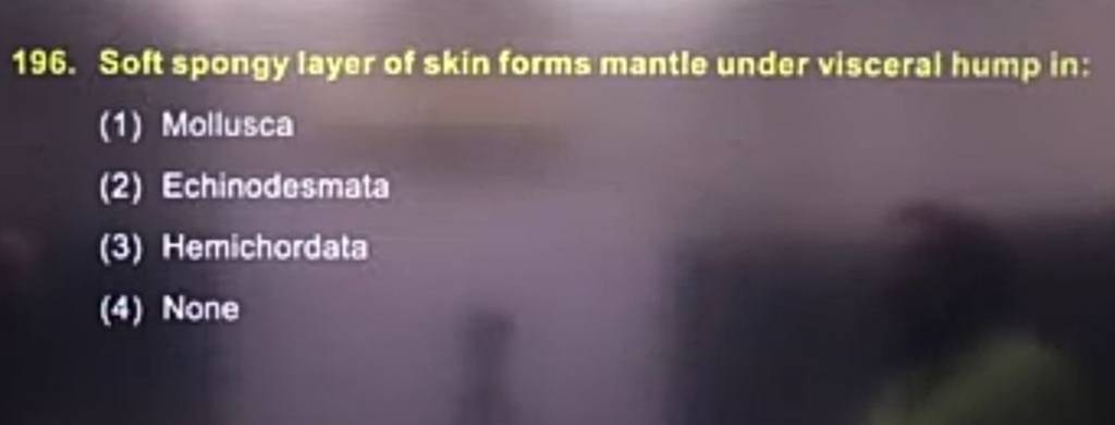 Soft spongy layer of skin forms mantle under visceral hump in: | Filo