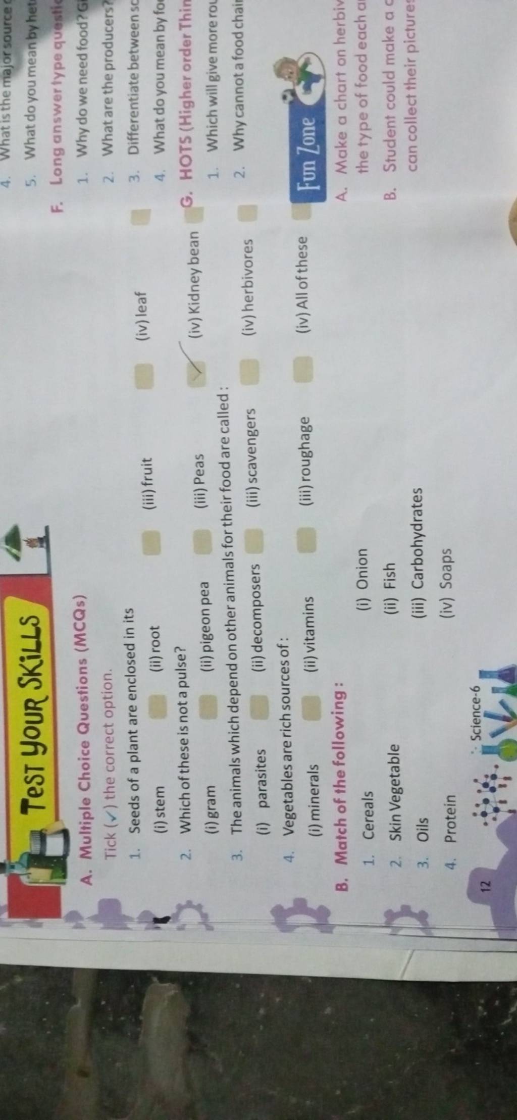 Multiple Choice Questions (MCQs) Tick ( ) the correct option. 1. Seeds of.. Multiple Choice Questions (MCQs) Tick ( ) the correct option. 1. Seeds of..
