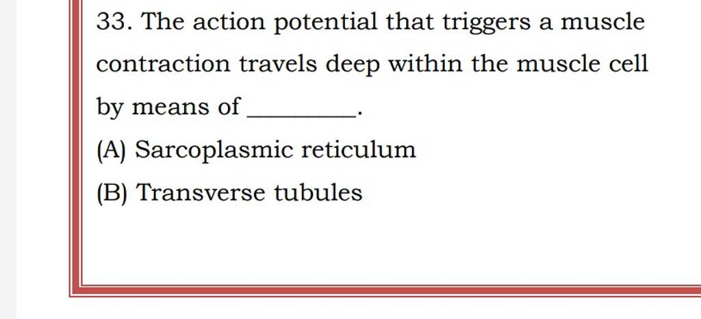 33. The action potential that triggers a muscle contraction travels deep