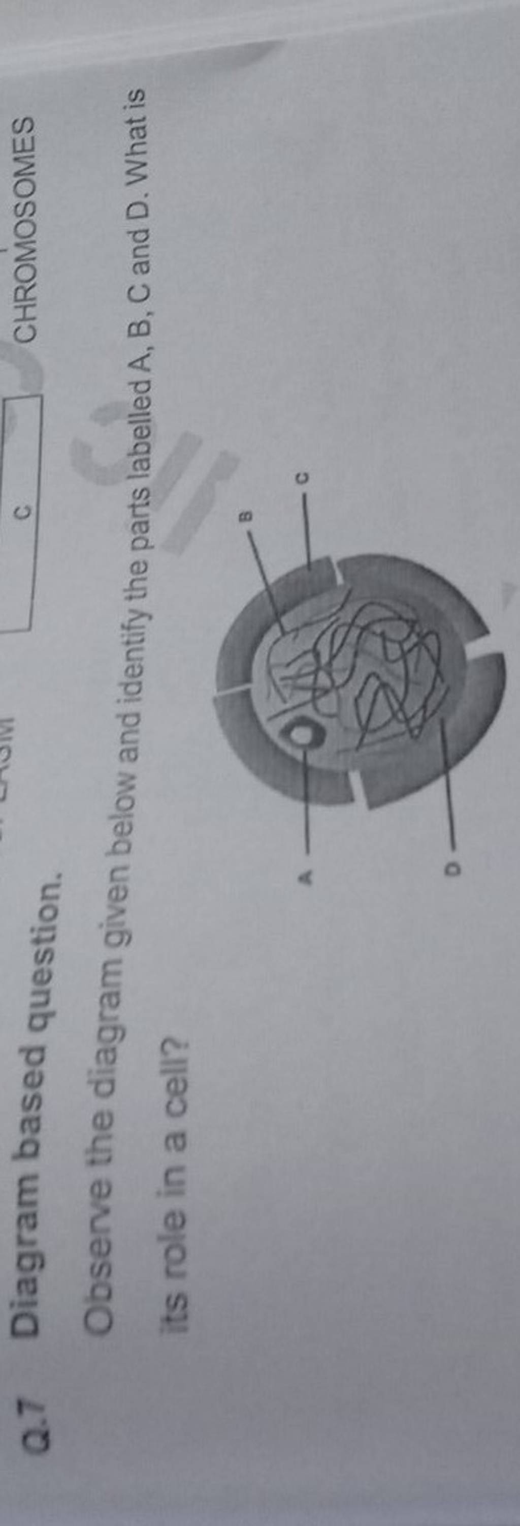 Q.7 Diagram based question. CHROMOSOMES Observe the diagram given below a.. Q.7 Diagram based question. CHROMOSOMES Observe the diagram given below a..