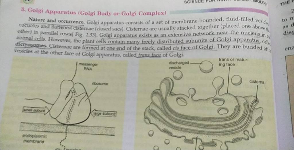 Labelled Diagram Of Golgi Apparatus