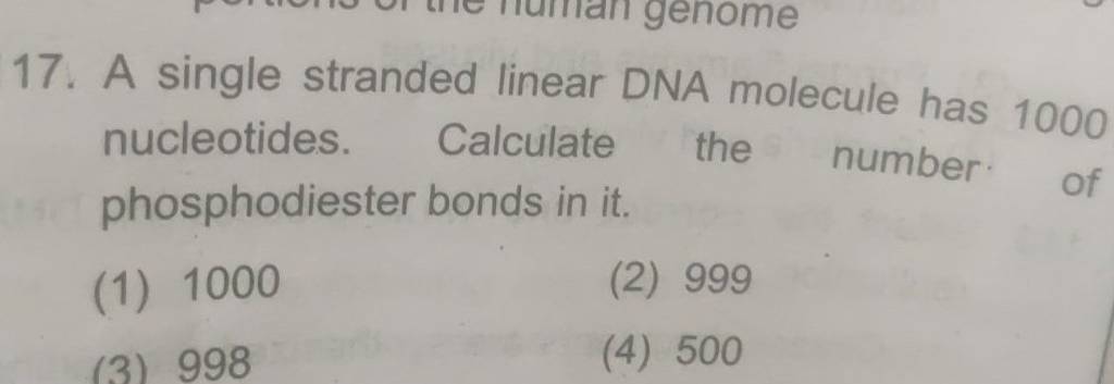 A single stranded linear DNA molecule has 1000 nucleotides. Calculate the..