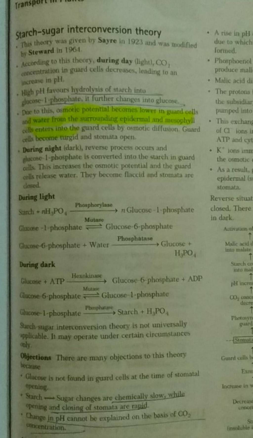 Starch-sugar interconversion theory - This theory was given by Sayre in 1..