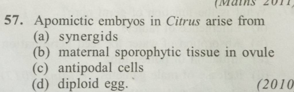 Apomictic embryos in Citrus arise from | Filo
